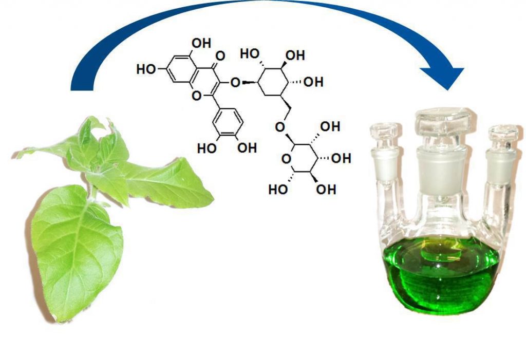 植物萃取（Plant Extraction） – 浦瑞生物医药