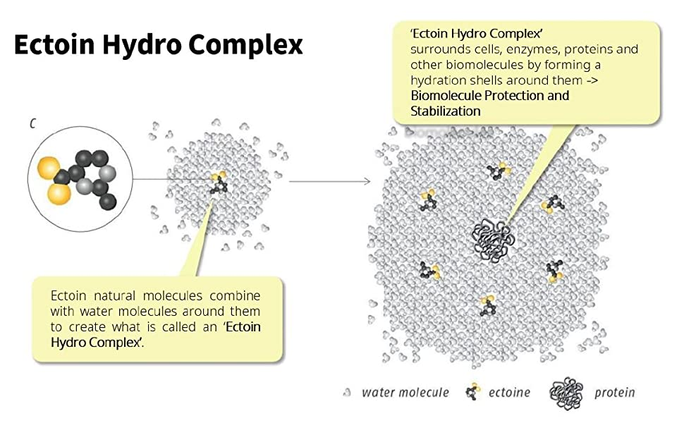 依克多因（Ectoin） – 浦瑞生物医药